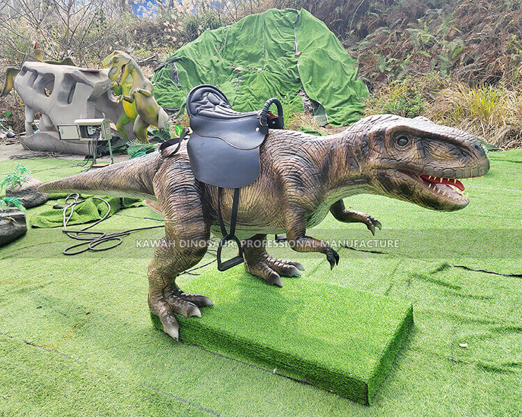 Baby T-Rex Dinosaur Ride Realistic Dinosaur Animatronic for Kids ADR-709