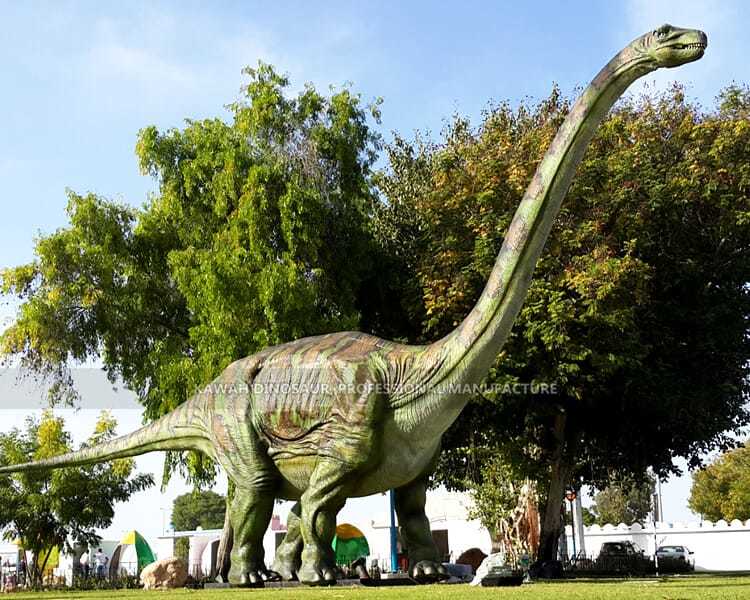 Buy Animatronic Dinosaur Ruyangosaurus Long Neck Dinosaurs Realistic Dinosaur AD-050