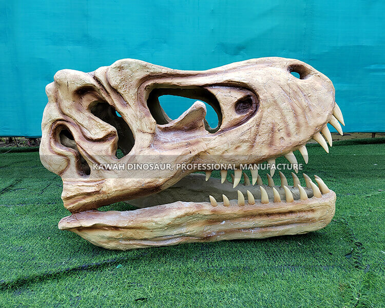Buy Realistic Dinosaur Fossil Head T-Rex Skeleton Skull Replica ...