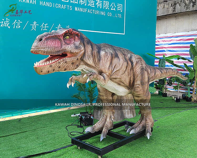 Zigong Dinosaur Factory Kawah Brand Animatronic Dinosaur T-Rex Model 4m ...