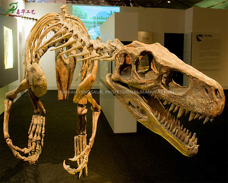 Dinosaur Machines Herrerasaurus Fossil Life Size Dinosaur Skeleton ...
