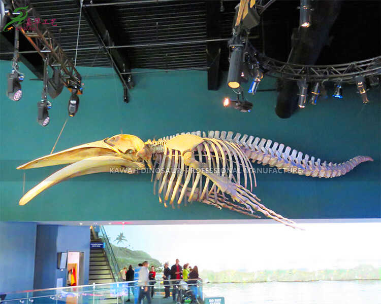 Handmade Giant Dinosaur Animal Replicas Simulation Humpback Whale ...