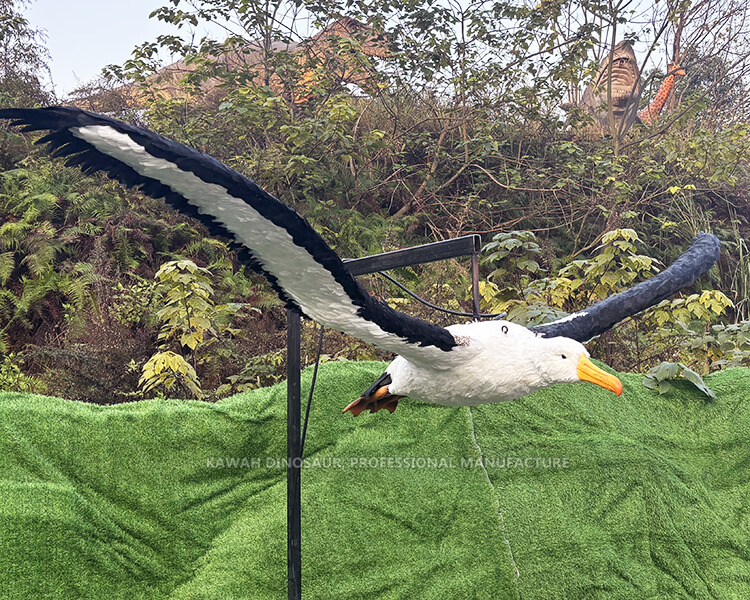 Animatronic Albatross Model with Wings Movement Realistic Animatronic ...
